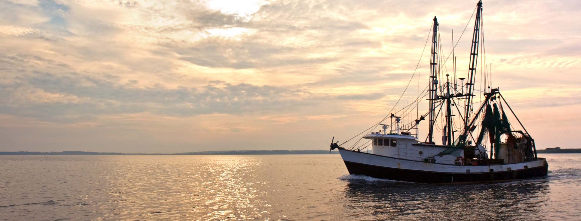 TriNav Marine Brokerage - International Shipbrokers, Boat Brokers ...