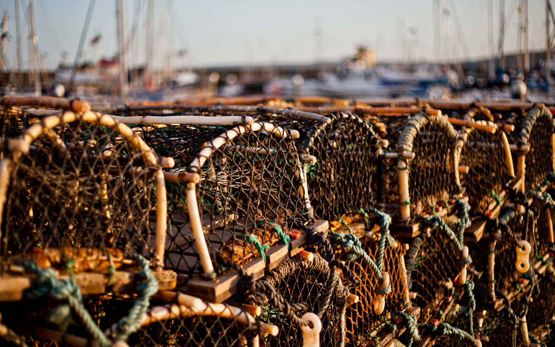 Quotas | TriNav Marine Brokerage - International Shipbrokers, Boat ...