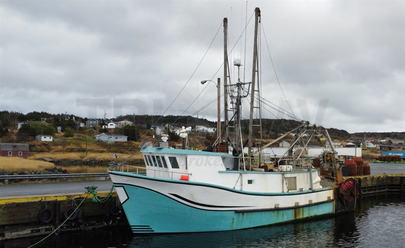 11181NL | TriNav Marine Brokerage - International Shipbrokers, Boat ...